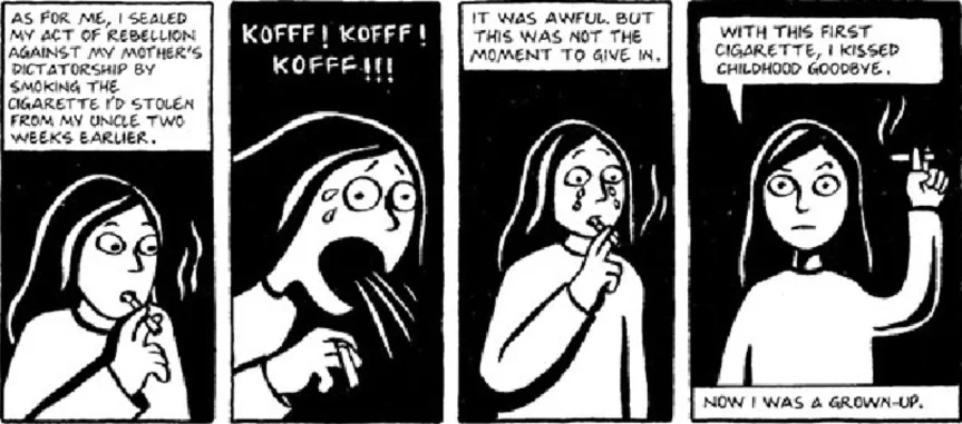Persepolis Book The Veil