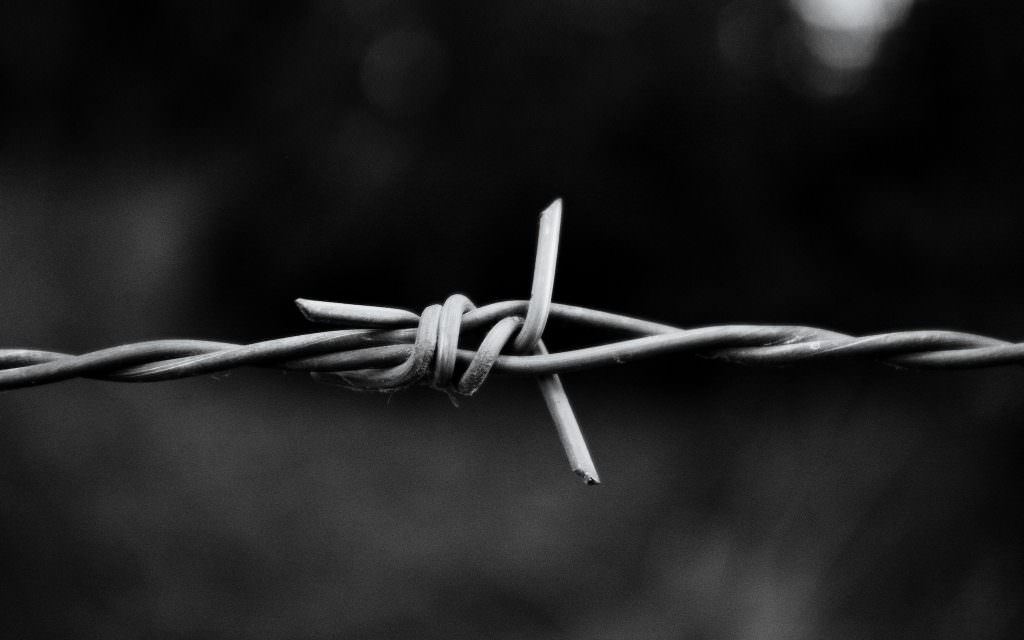 Barbed Wire [Poem]