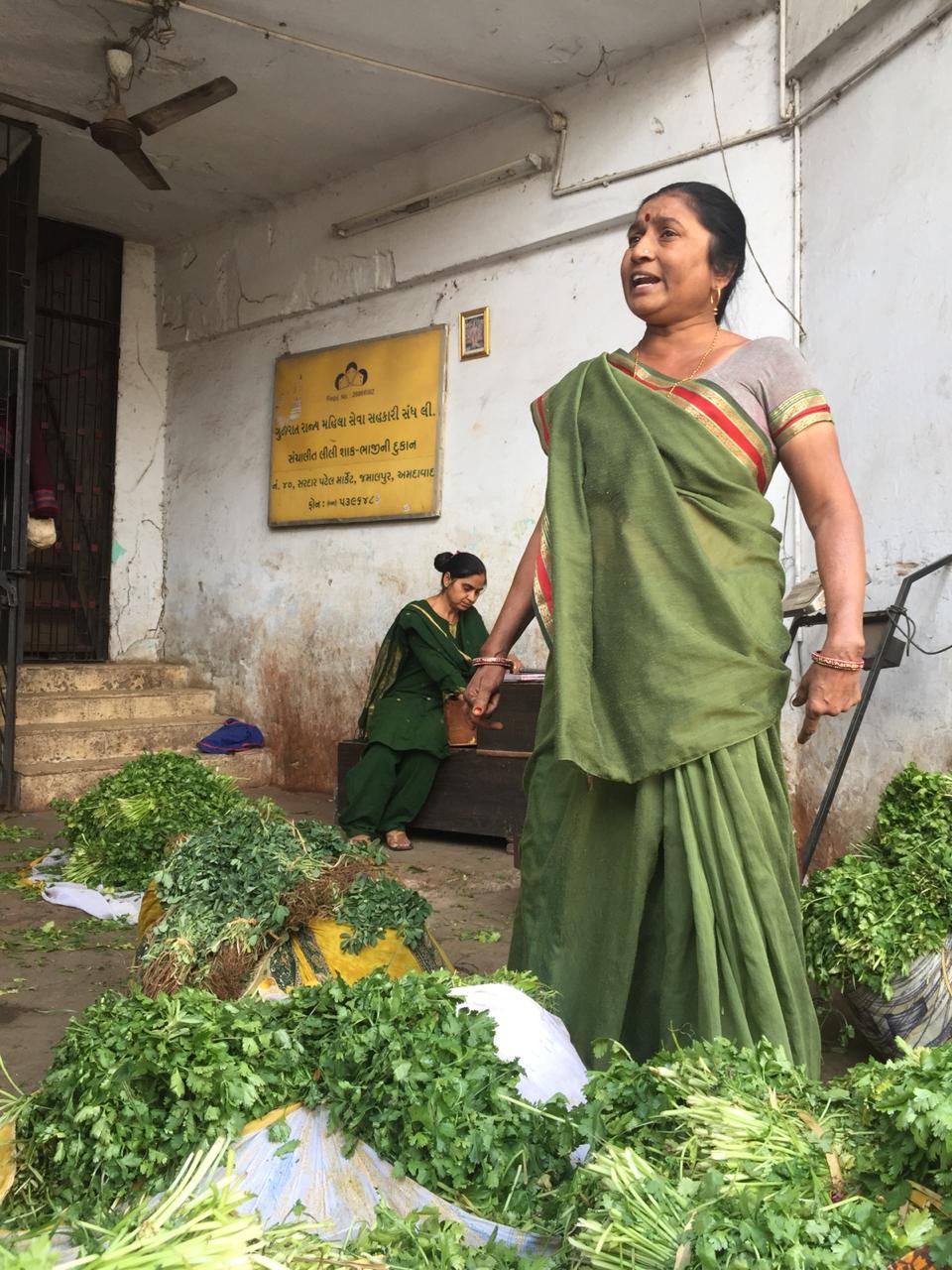 SEWA Federation: Helping Women Support Women's Cooperatives