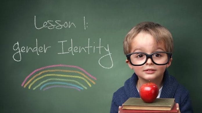 Revisiting, Revising And Reviewing Gender In The Classroom