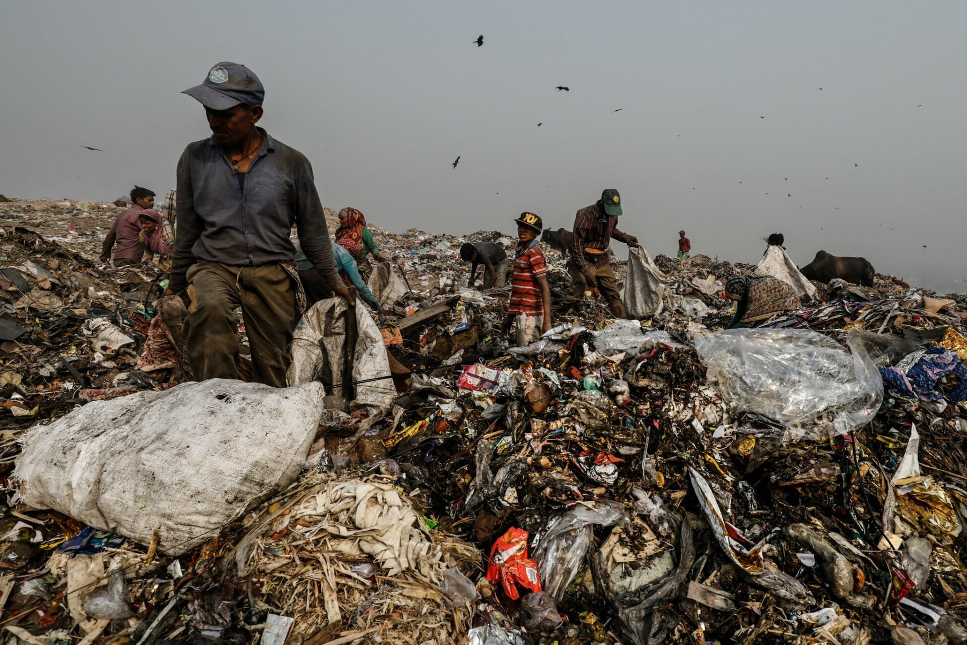 Ghazipur Landfill: A Mountain Of Waste Almost The Height Of The Qutub ...