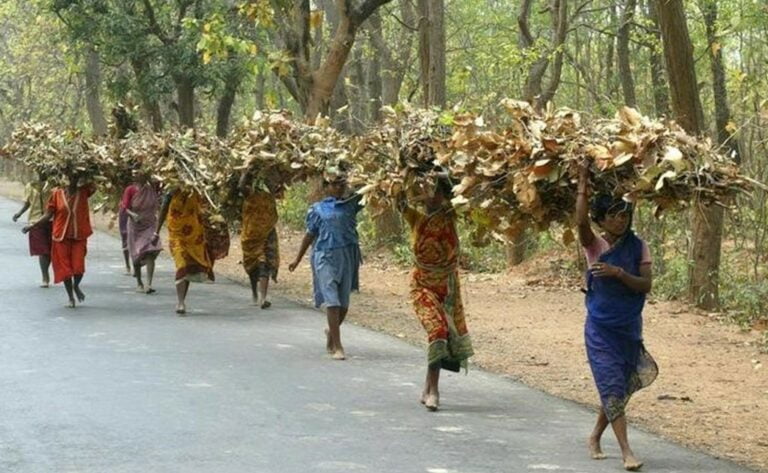 The Historical Journey Of Anti-Dowry Laws | Feminism in India