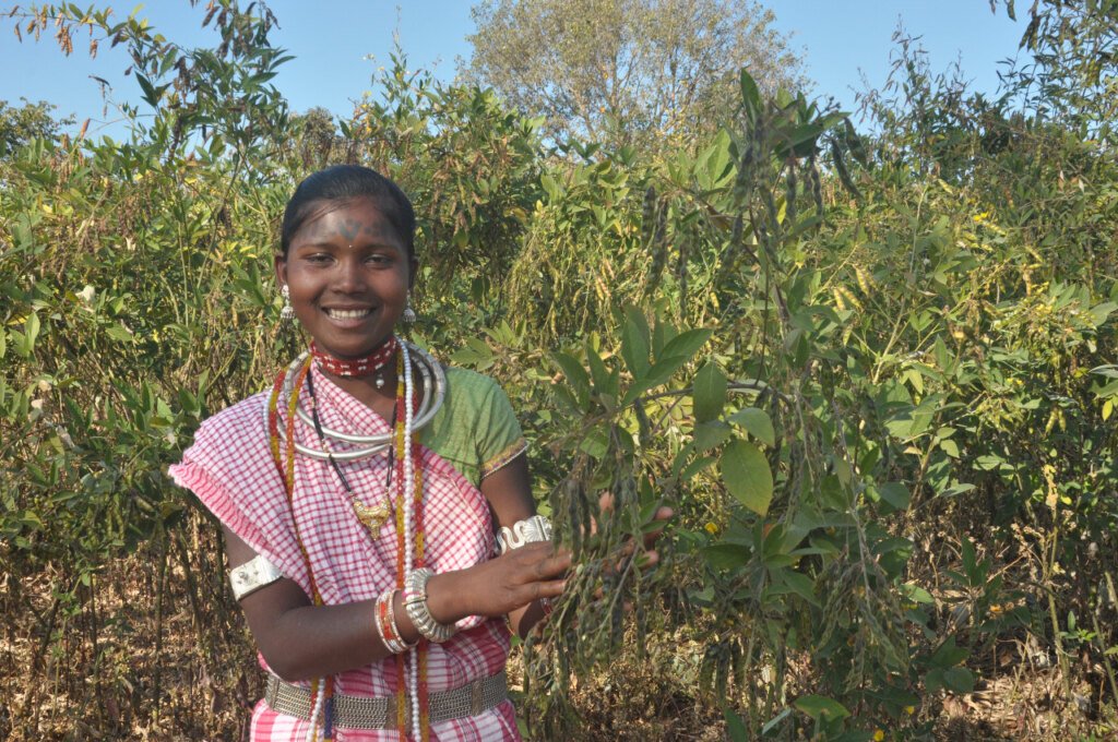 Going Local with Women Farmers: Kodo-Kutki Cultivation Through SHGs