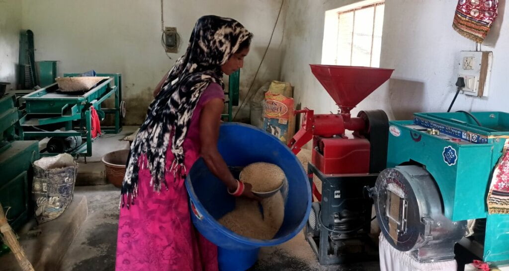 Odisha Tribal Women Save Traditional Rice Variety From Extinction 1066