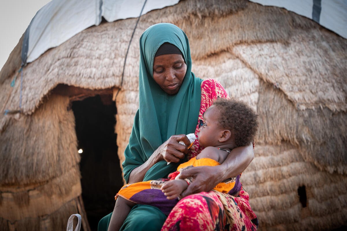 Book Review: 'Hunger' By Dhruba Jyoti Borah Is A Saga Of Shifting Homes ...