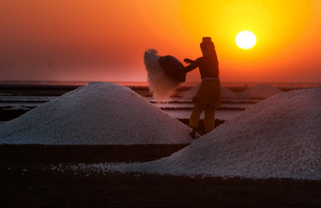 Salt 'Farming' In The Desert: Growing Climate Crisis For The Agariya ...