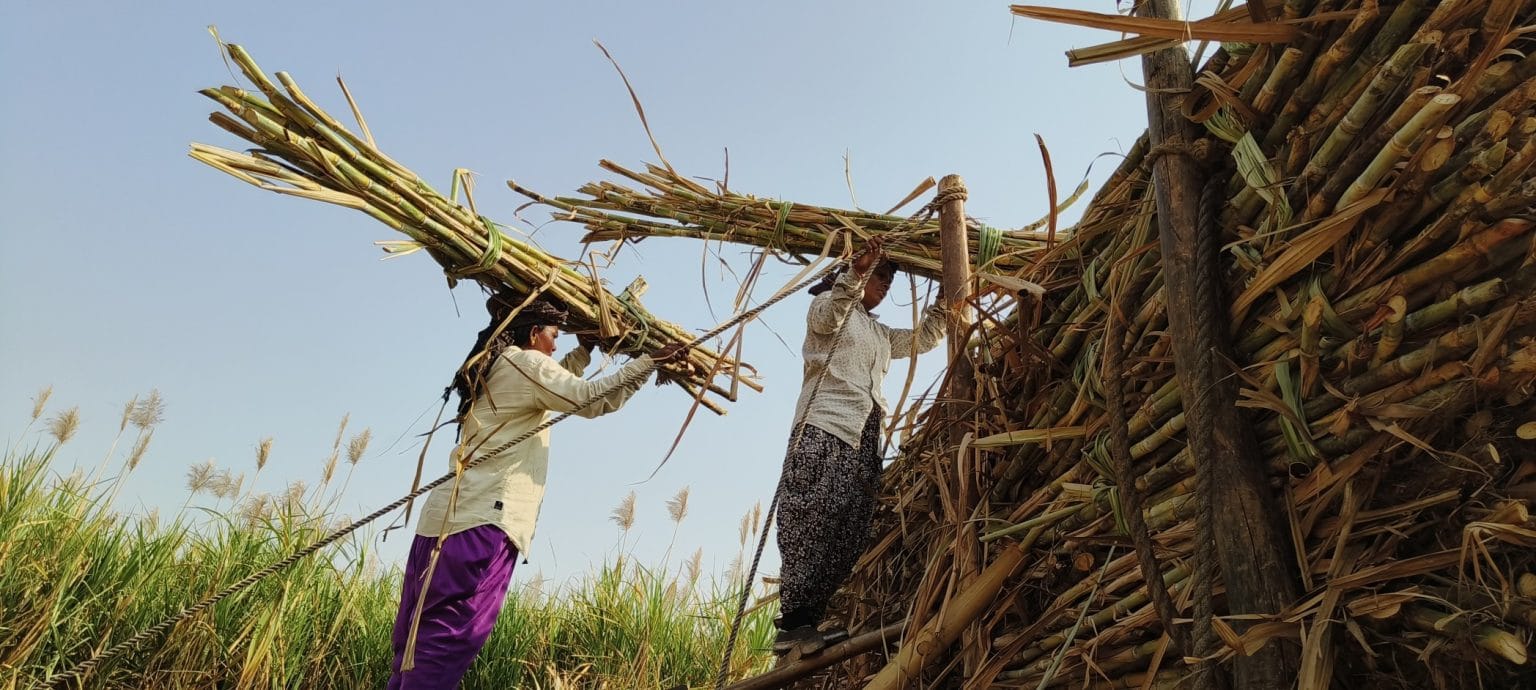 Ezhava And Proud—23 Years After Hiding My Caste From The World