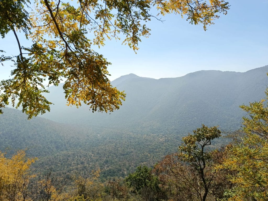 A Distress Call: Rise Of Manosphere, Misogyny And Toxic Masculinity ...