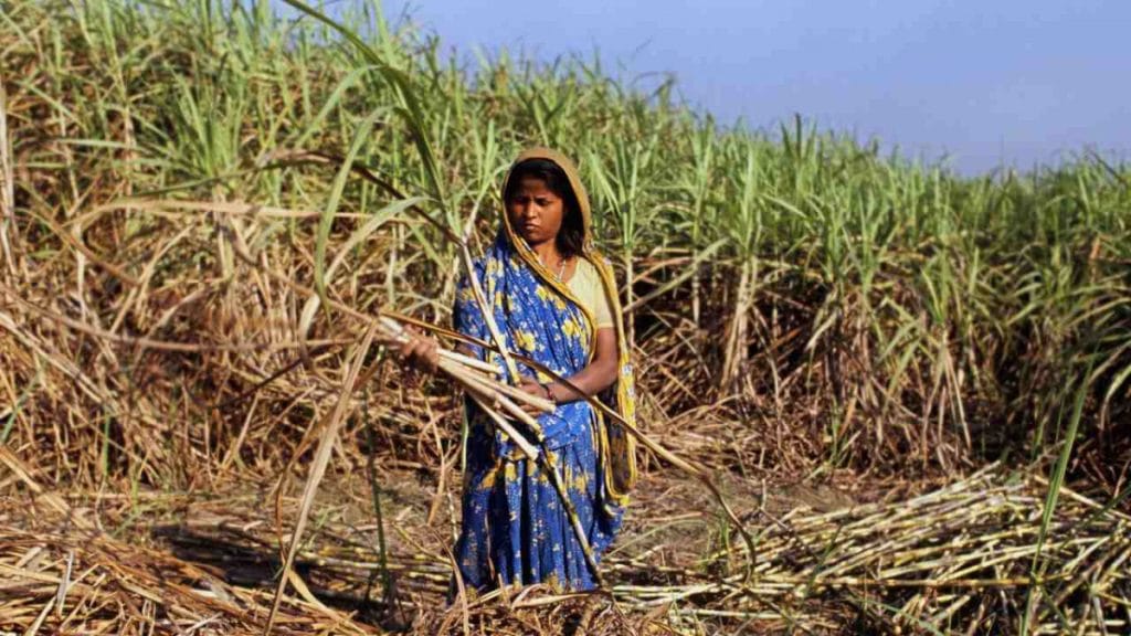 Balasaraswati: The Dancer Who Popularised Bharatnatyam To The World | # ...
