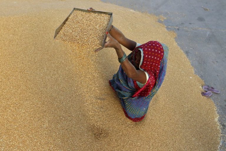 Land, Labour, And The Gendered Cost Of Reform In Rural India