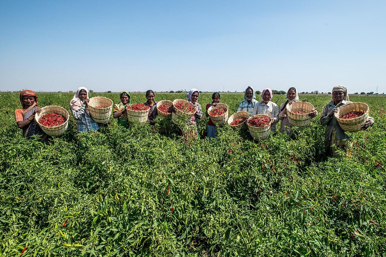 Women Farmers: Navigating Land Rights Issues